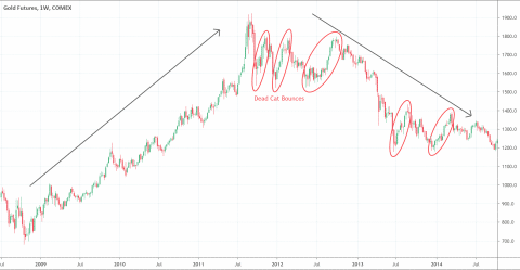 Dead Cat Bounce: The Best Secrets - PatternsWizard